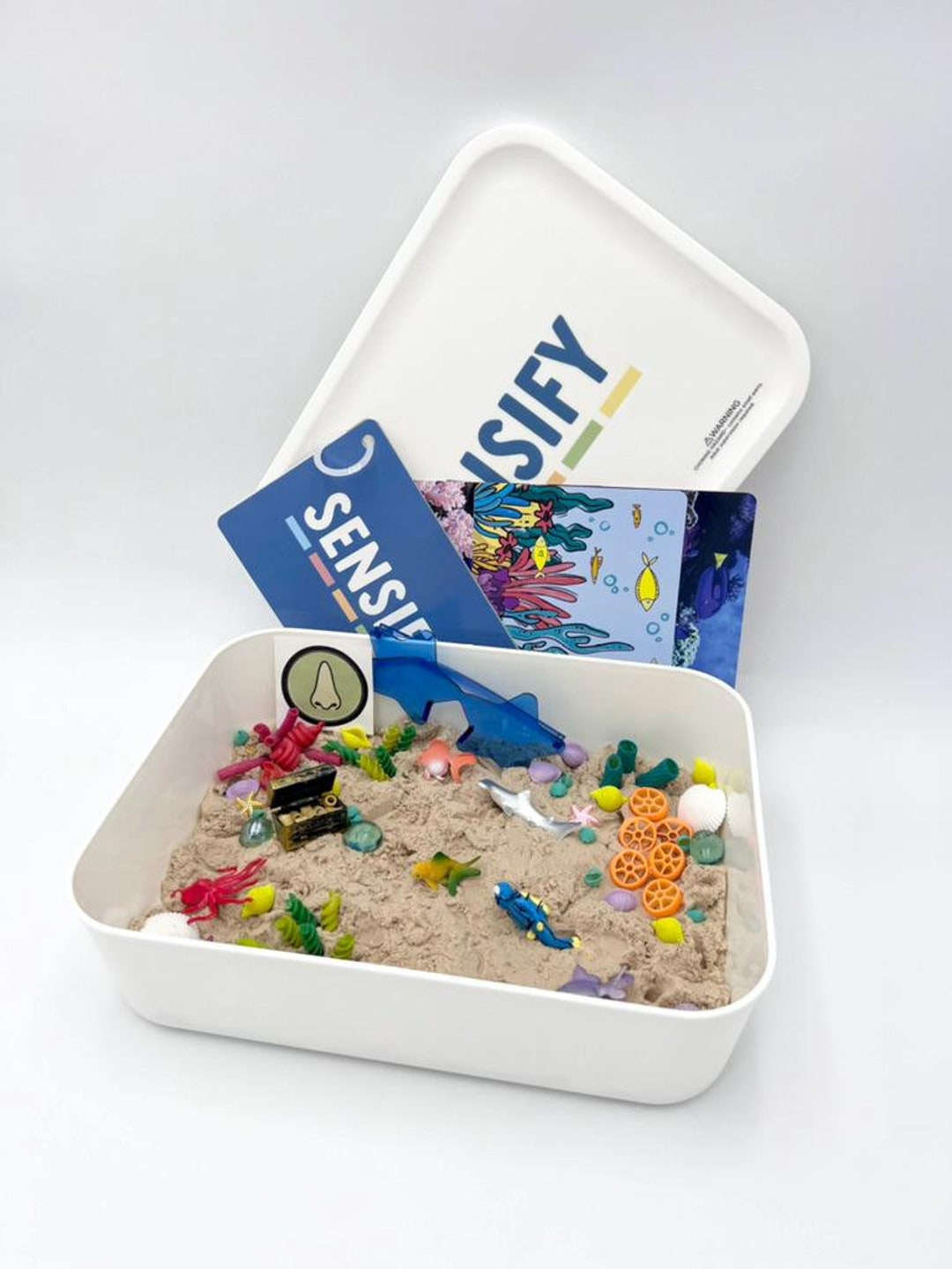 Coral Reef Box - Etsy