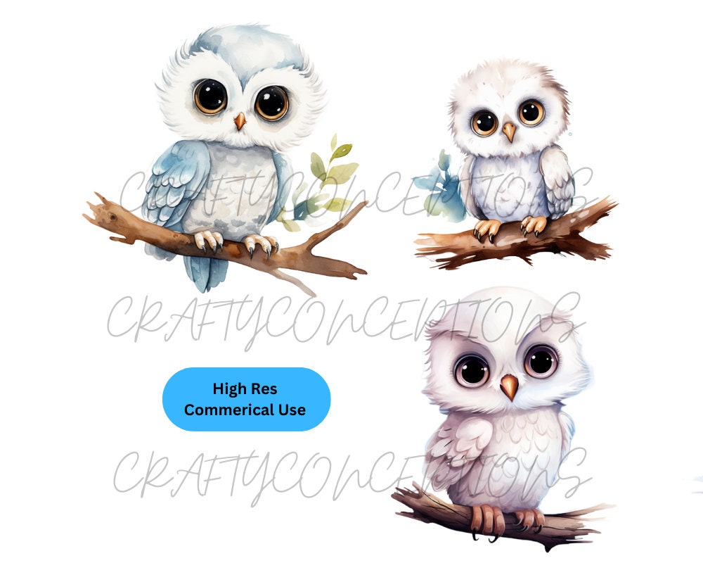Watercolor Baby Owls Clipart, Commercial Use PNG Graphics (digital ...