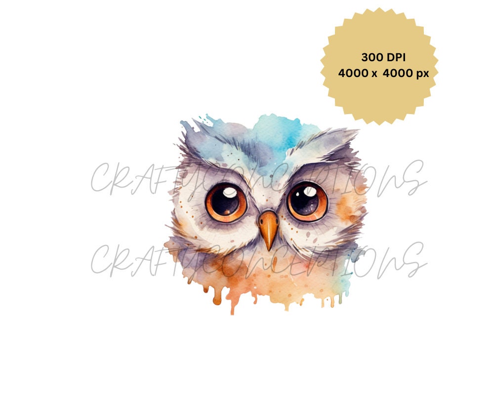Cute Watercolor Baby Owls Digital Design Bundle Printable - Etsy