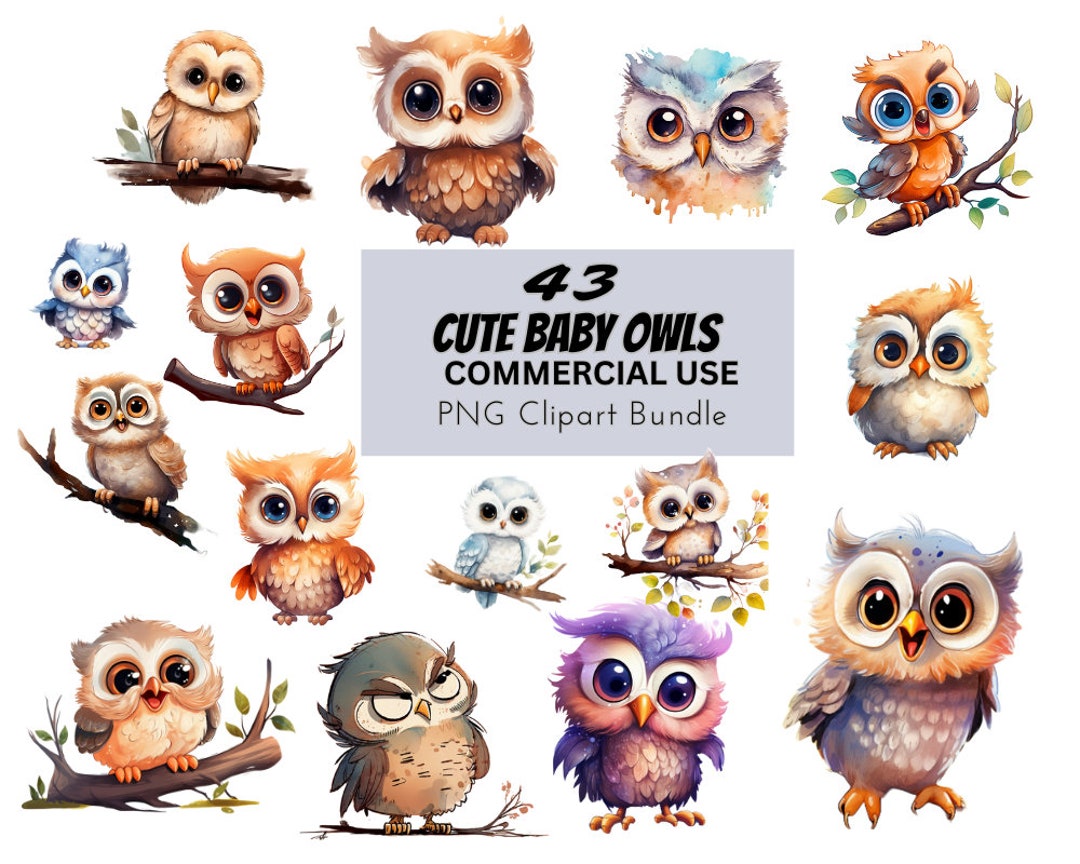 Watercolor Baby Owls Clipart, Commercial Use PNG Graphics (digital ...