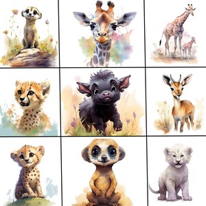 2O Baby Safari Animals Clipart Bundle Pack PNG, Cute, Watercolour Water ...