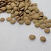 Organic Green Lentil Sprouting Seeds - Etsy