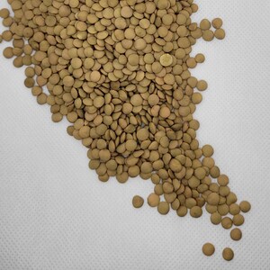 Organic Green Lentil Sprouting Seeds - Etsy