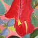 Bush Beauty. Australian Native Shrub Acrylic Painting - Etsy