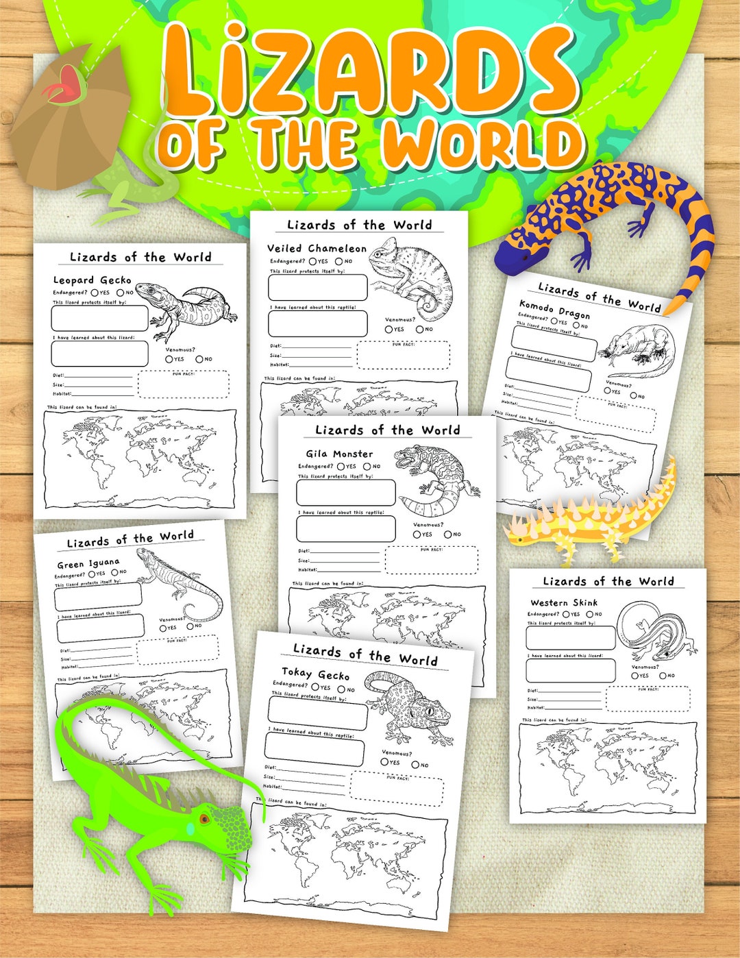 Lizards of the World Worksheets - Etsy