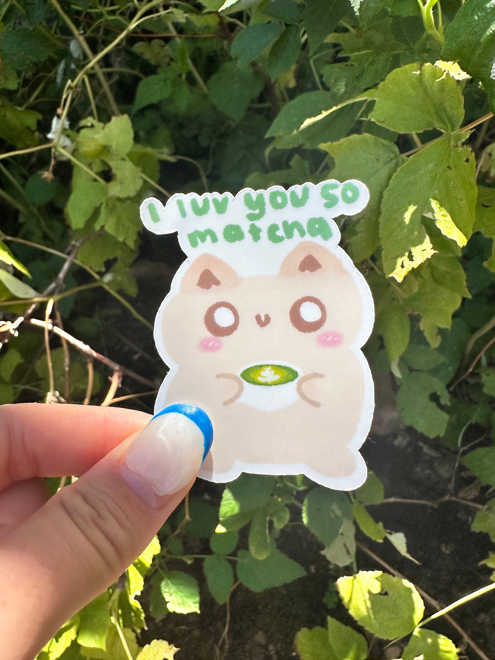 Matcha Cat Sticker, I Luv You so Matcha, Waterbottle, Laptop, Cute Cat ...