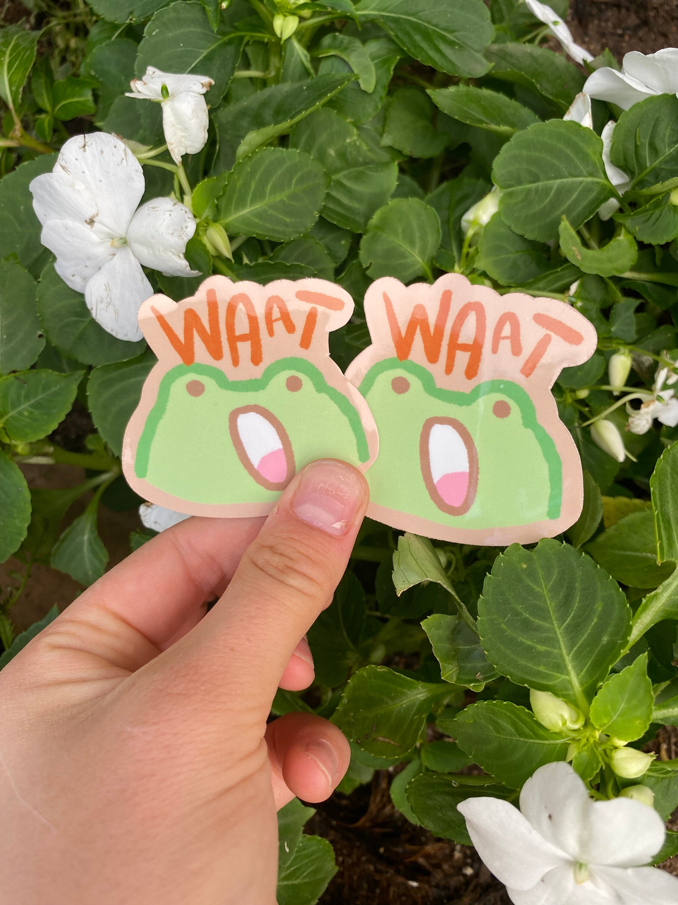 Shocked Frog Sticker WAA Sticker, Cute Frog Sticker, Waterbottle ...