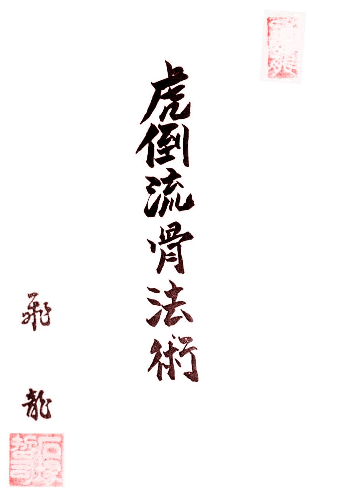 Bujinkan -a Copy of Ishizuka Sensei's Personal Notebook on Koto Ryu (digital Copy) - Etsy