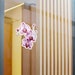 Orchid Vinyl Decal Flower Sticker Floral Sticker Flower - Etsy