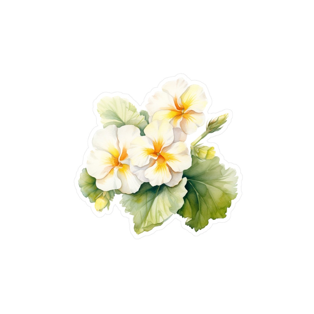 Primrose Vinyl Decal, February Birth Month Flower Sticker, Floral ...