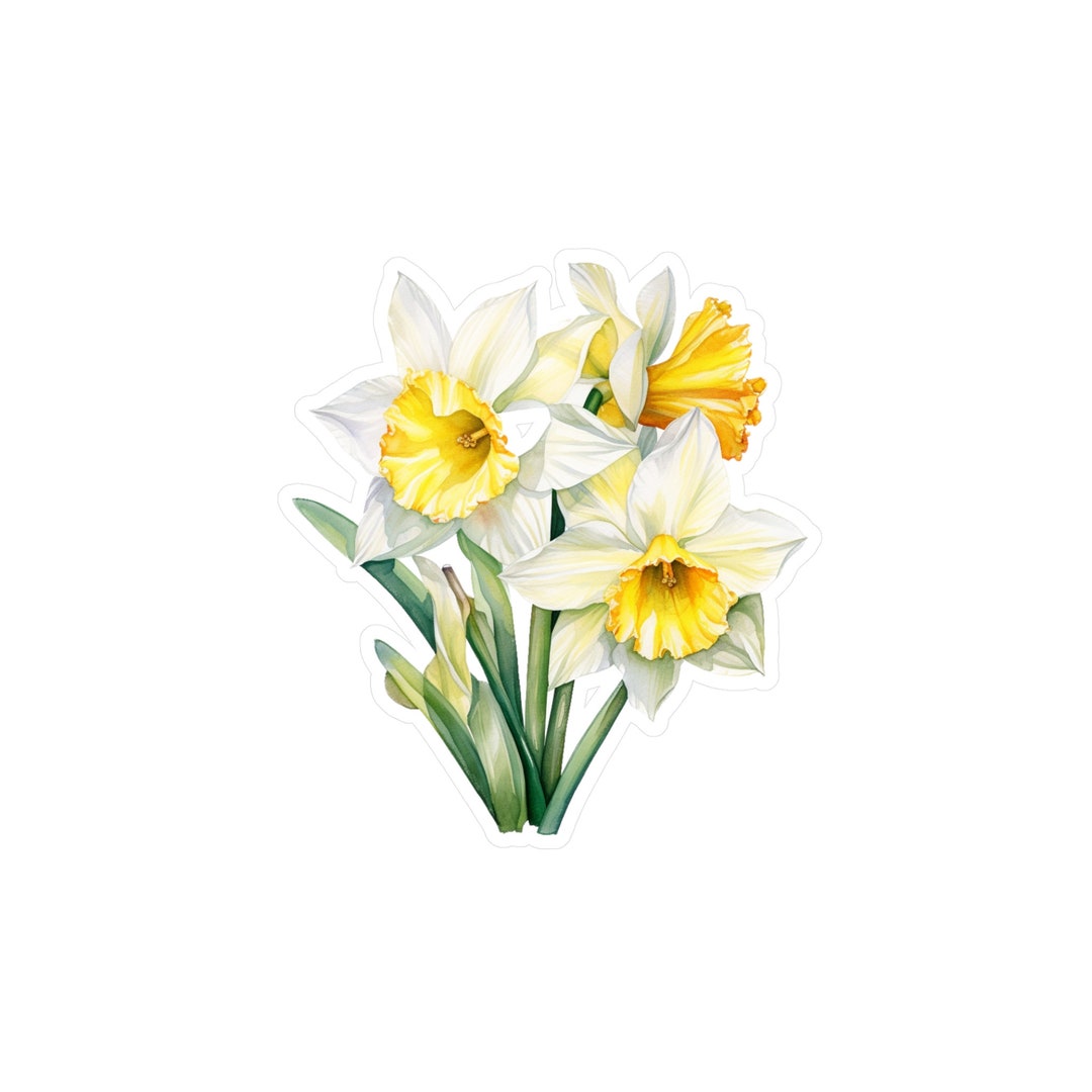 Daffodil Vinyl Decal, March Birth Month Flower Sticker, Floral Sticker ...