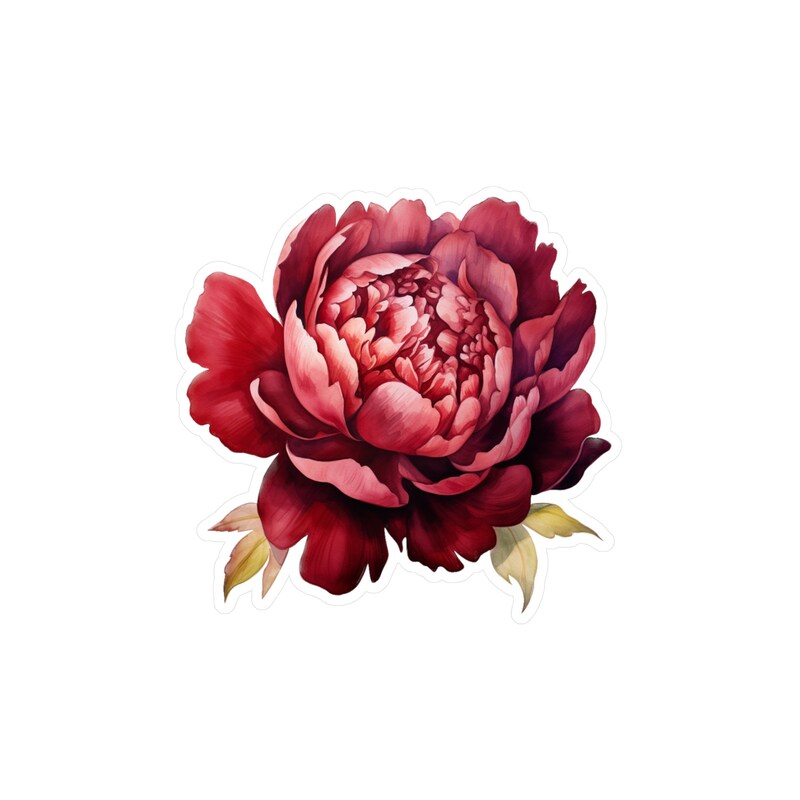 Peony Vinyl Decal - Etsy