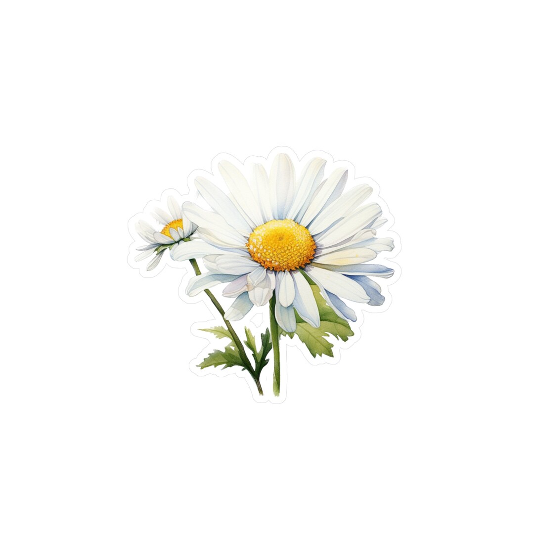 Daisy Vinyl Decal, April Birth Month Flower Sticker, Floral Sticker ...