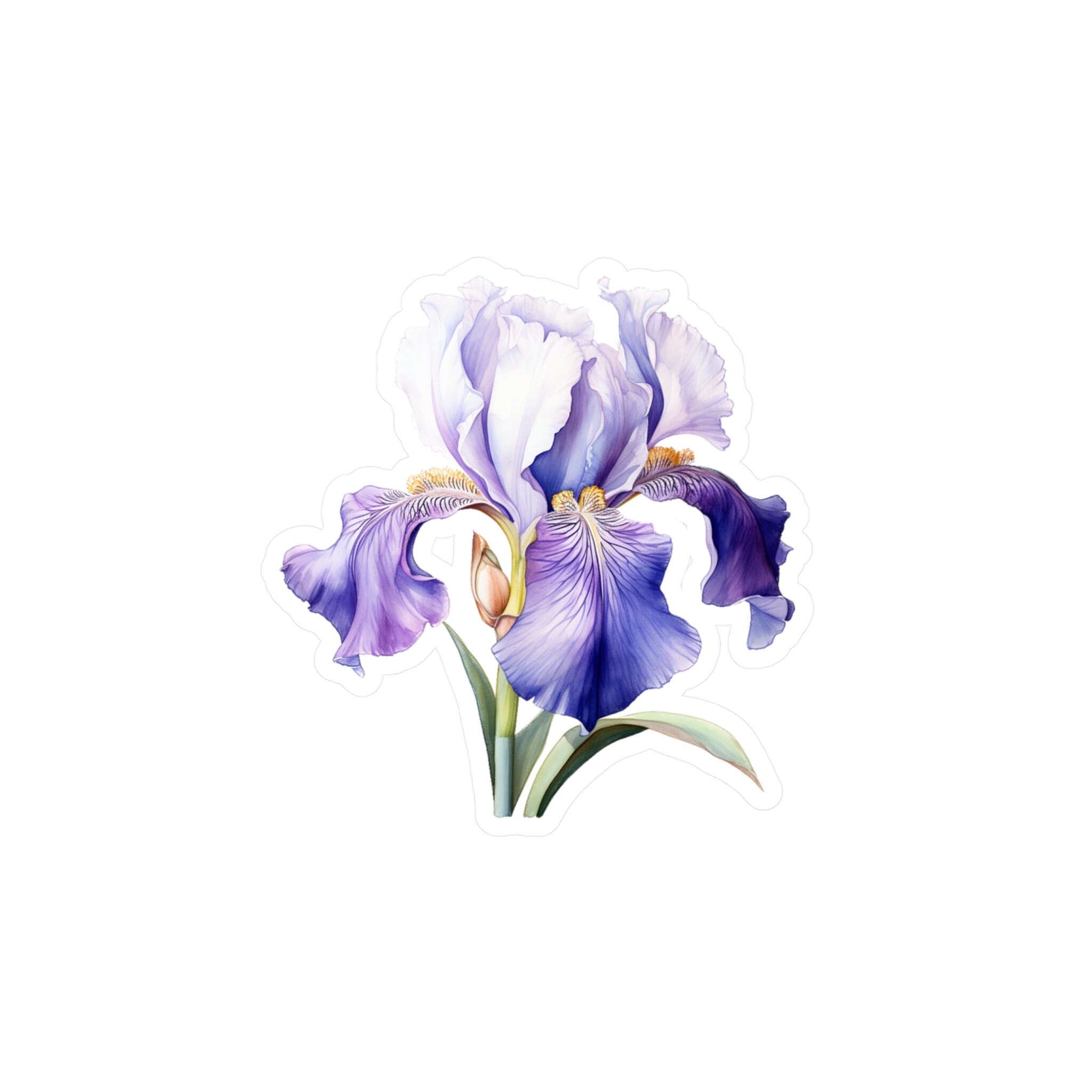 Iris Vinyl Decal, February Birth Month Flower Sticker, Floral Sticker ...