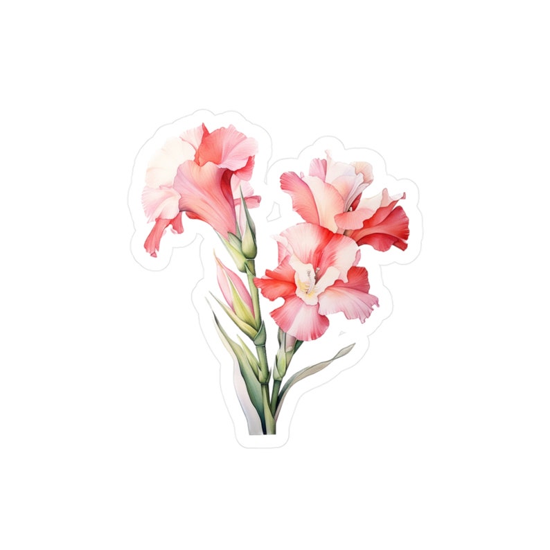Gladiolus Vinyl Decal August Birth Month Flower Sticker - Etsy