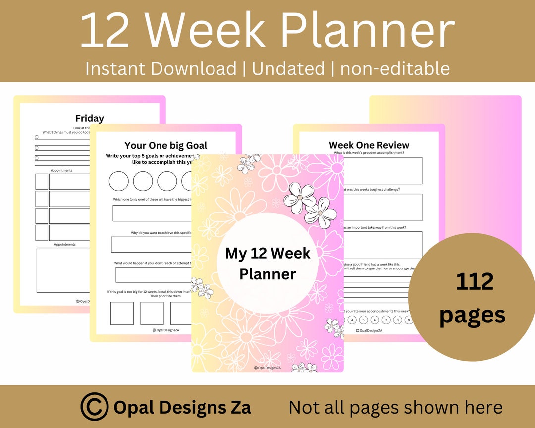 12 Week Challenge Tracker Printable, 12 Week Planner, Habit Tracker ...
