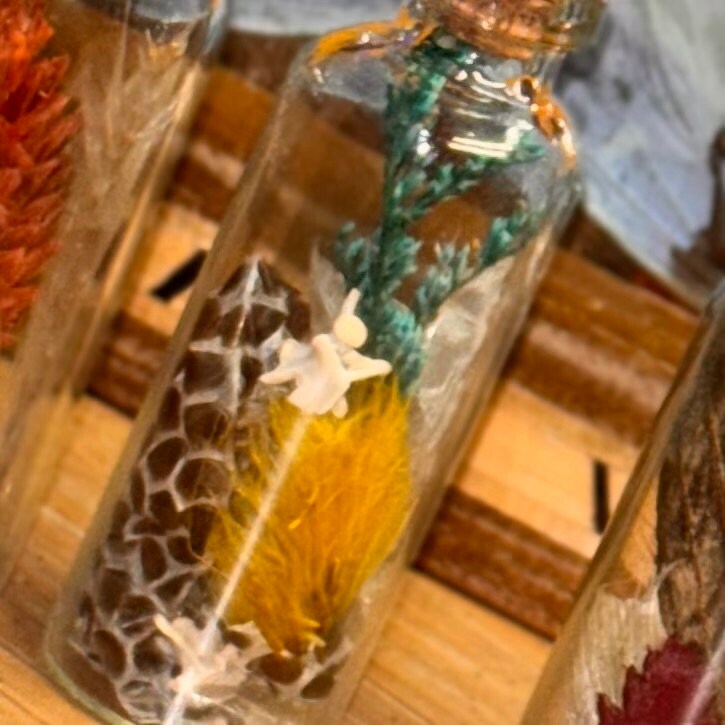 Mini Jar With Rattlesnake Vertebrae and Boa Constrictor Skin Shed With ...