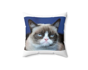 Filet Crochet Grumpy Cat Pillow Pattern - Etsy