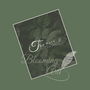 Natural Minimalistic Canva Templates – Editable & Downloadable Designs ...