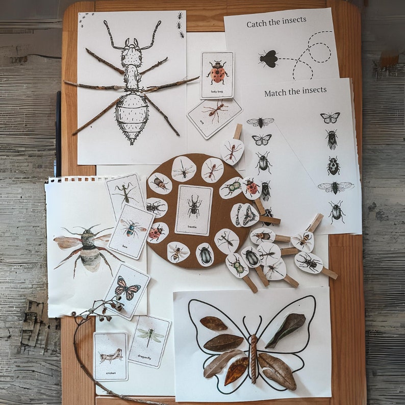 Insect Unit Study - Pre-k to Kindergarten - Etsy
