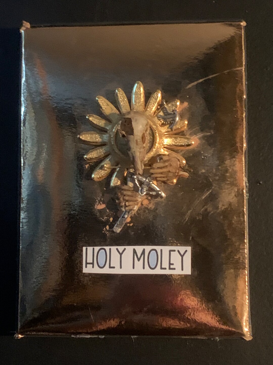 Holy Moley Mole Skull Bone and Mummified Paws Art Piece Taxidermy ...