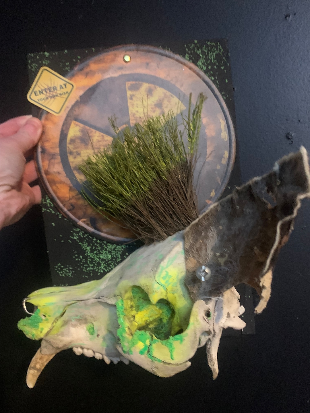 Chernobyl Radioactive Art Pig Skull Glow in the Dark Bones Taxidermy ...