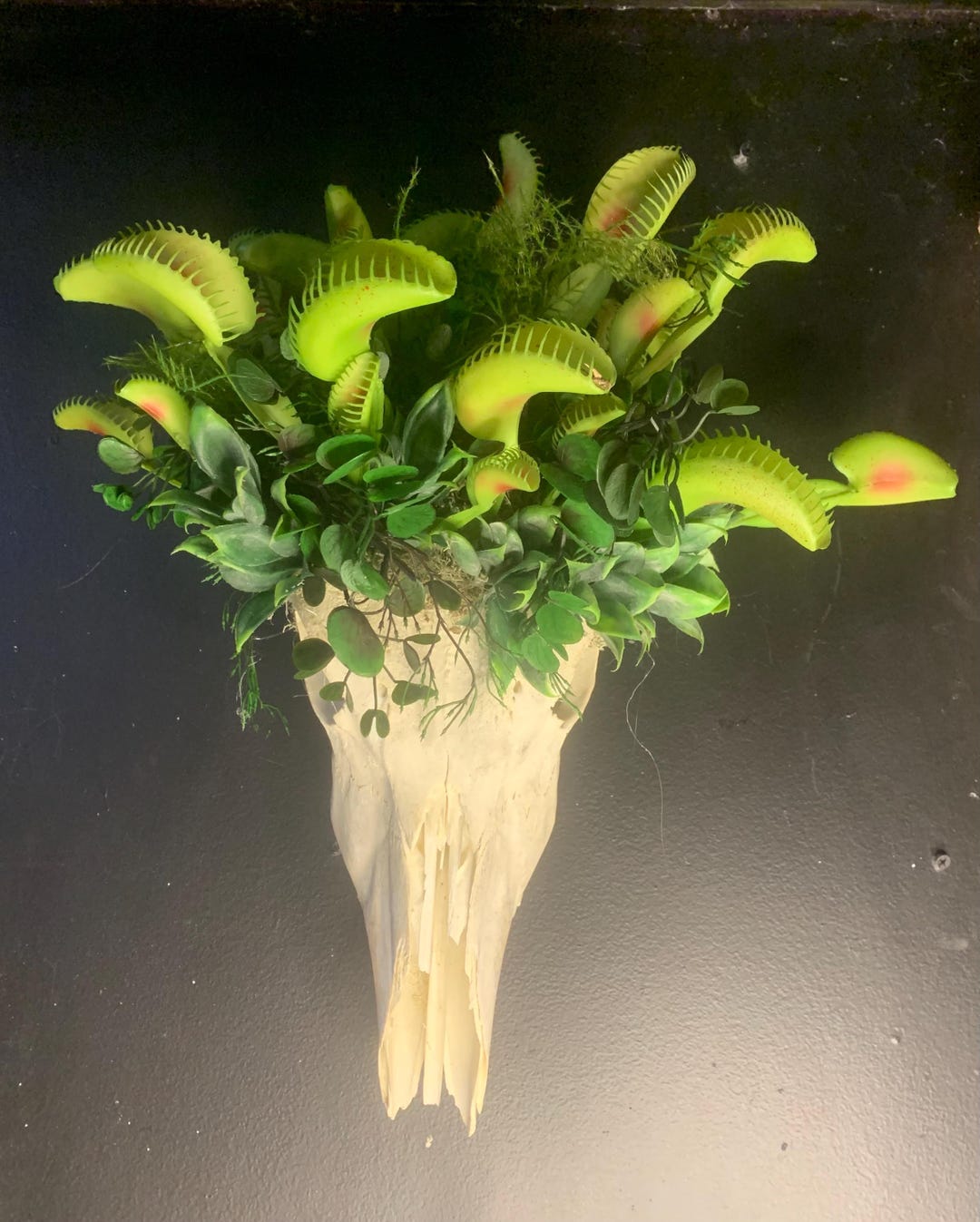 African Nile Lechwe Skull Antelope With Venus Fly Trap Floral Art ...