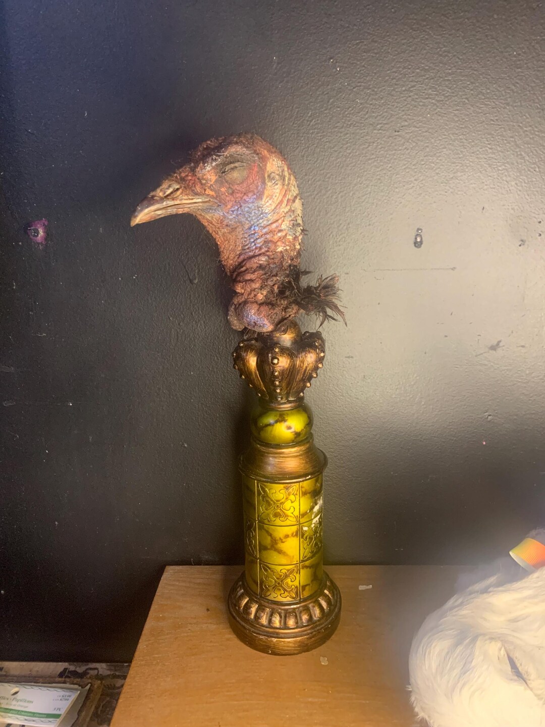 Taxidermy Mummified Turkey Head Mount on Base Curiosity Oddity Woodland ...