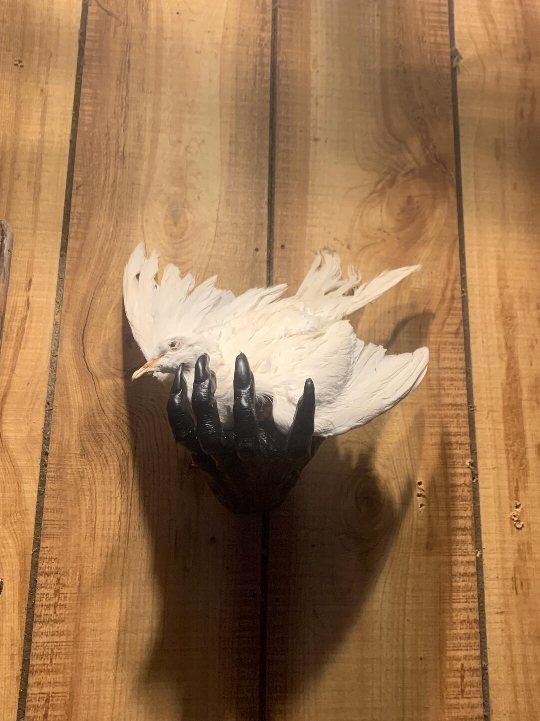 Mummifed Dove Taxidermy Bird in Demon Devil Hand Oddity Curiosity - Etsy