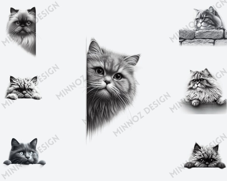 40 Peeking Cats SVG, Peeking Cats Clipart, Transparent PNG SVG, Peeking ...