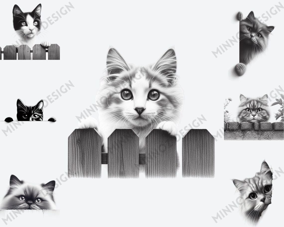 40 Peeking Cats SVG, Peeking Cats Clipart, Transparent PNG SVG, Peeking ...
