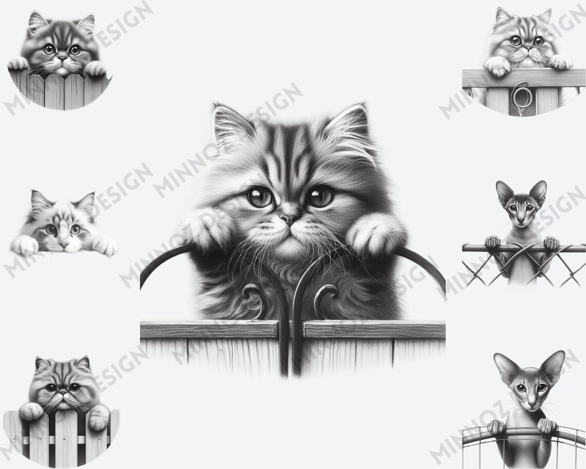 67 Peeking Cats SVG Peeking Cats Clipart Transparent PNG - Etsy