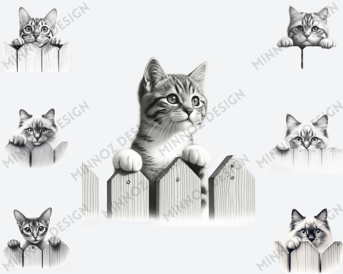 67 Peeking Cats SVG Peeking Cats Clipart Transparent PNG - Etsy