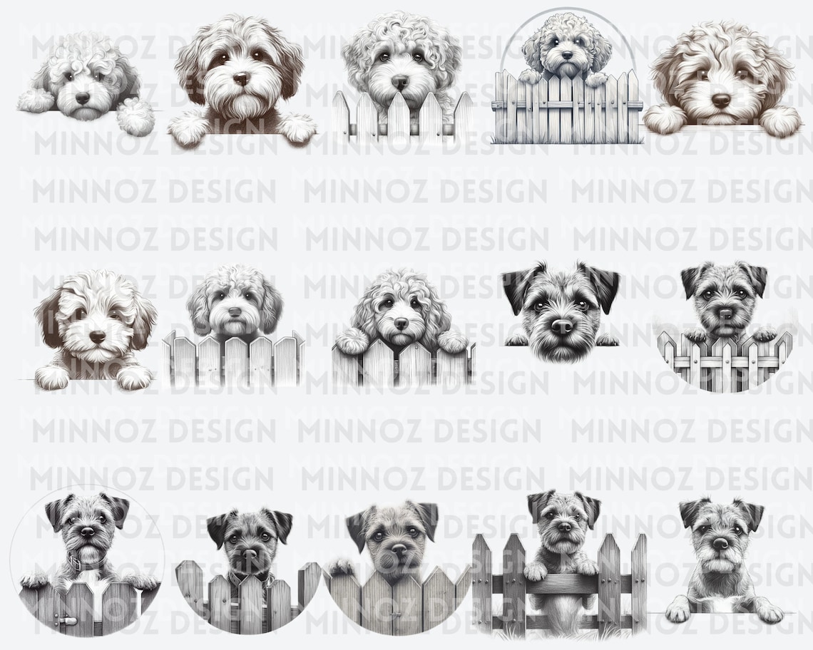 Peeking Border Terrier & Cockapoo Png Svg Eps Dxf Clipart, Transparent ...