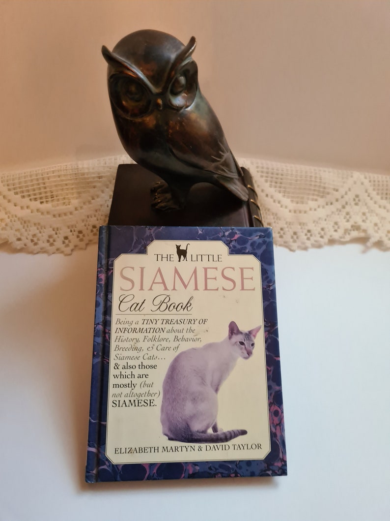 The Little Siamese Cat Book - Etsy