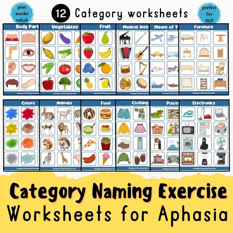 Aphasia Printable, Post- Stroke Rehabilitation, Categorizing Worksheets ...