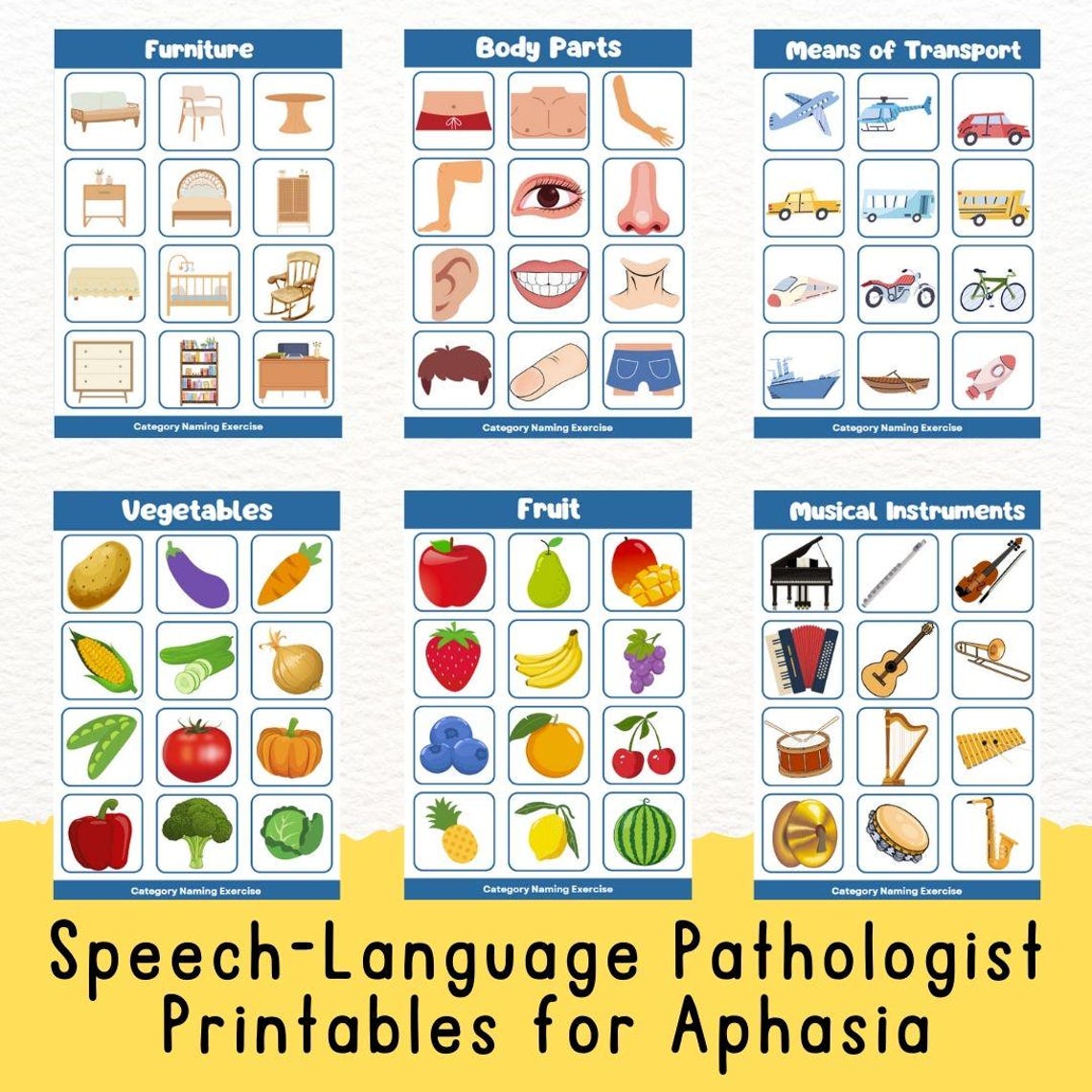 Aphasia Printable, Post- Stroke Rehabilitation, Categorizing Worksheets ...