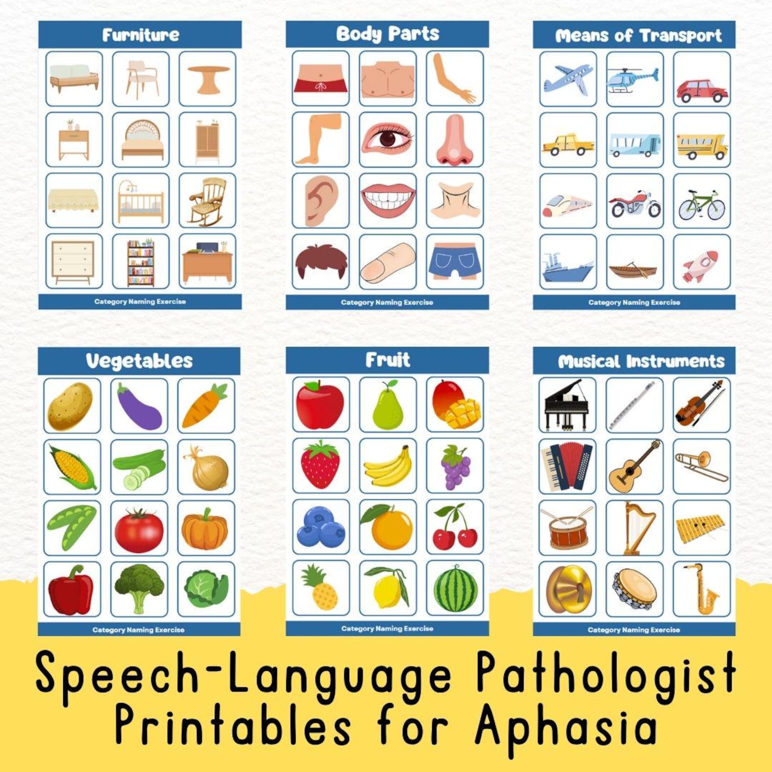 Aphasia Printable, Post- Stroke Rehabilitation, Categorizing Worksheets ...