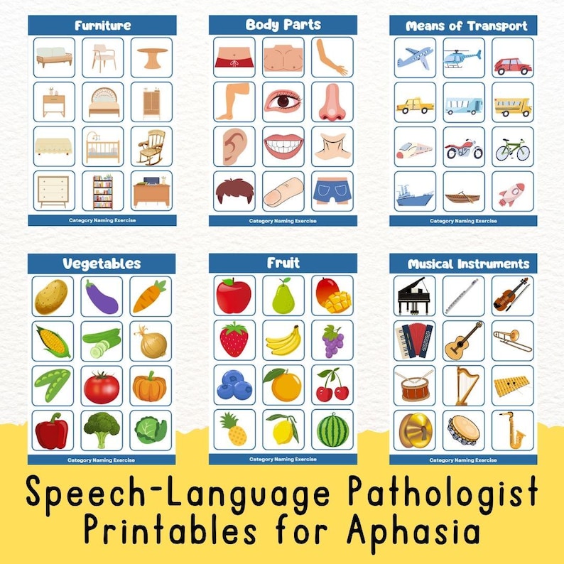 Aphasia Printable, Post- Stroke Rehabilitation, Categorizing Worksheets ...