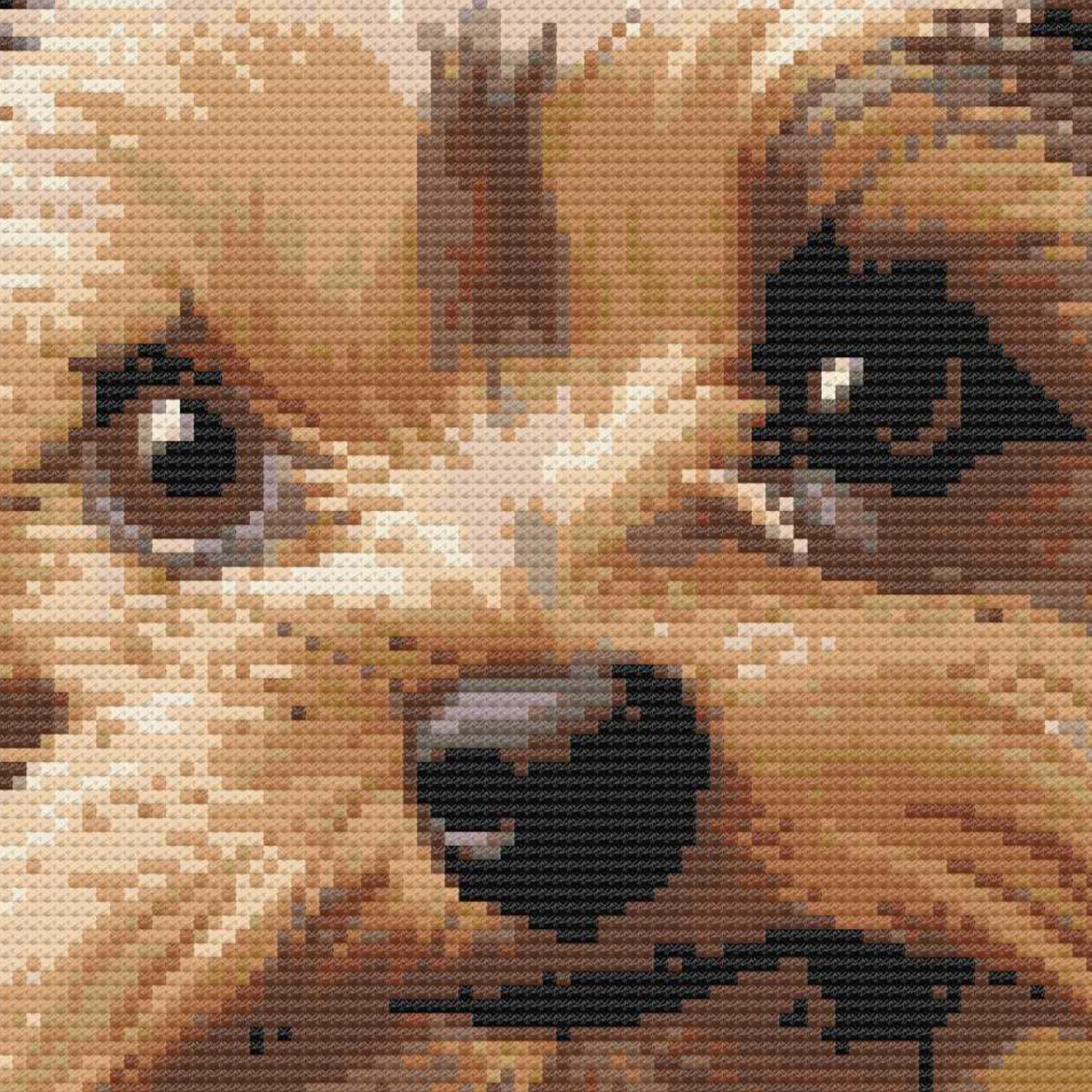 Yorkshire Terrier Cross Stitch Pattern / Peeking Yorkie Dog PDF Cross ...