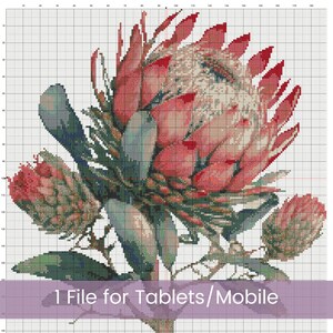 Protea Flower Cross Stitch Pattern Handmade Elegant Botanical Floral ...