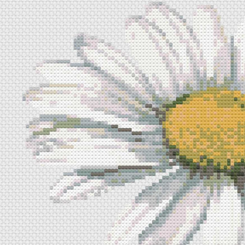 April Birth Month Flower Counted Cross Stitch PDF Pattern, Daisy Cross ...