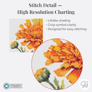 October Birth Month Flower Cross Stitch Pattern, Marigold Embroidery ...