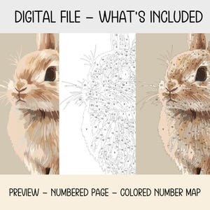 Color by Number, Paint by Number Printable, Cute Rabbit , Coloring ...