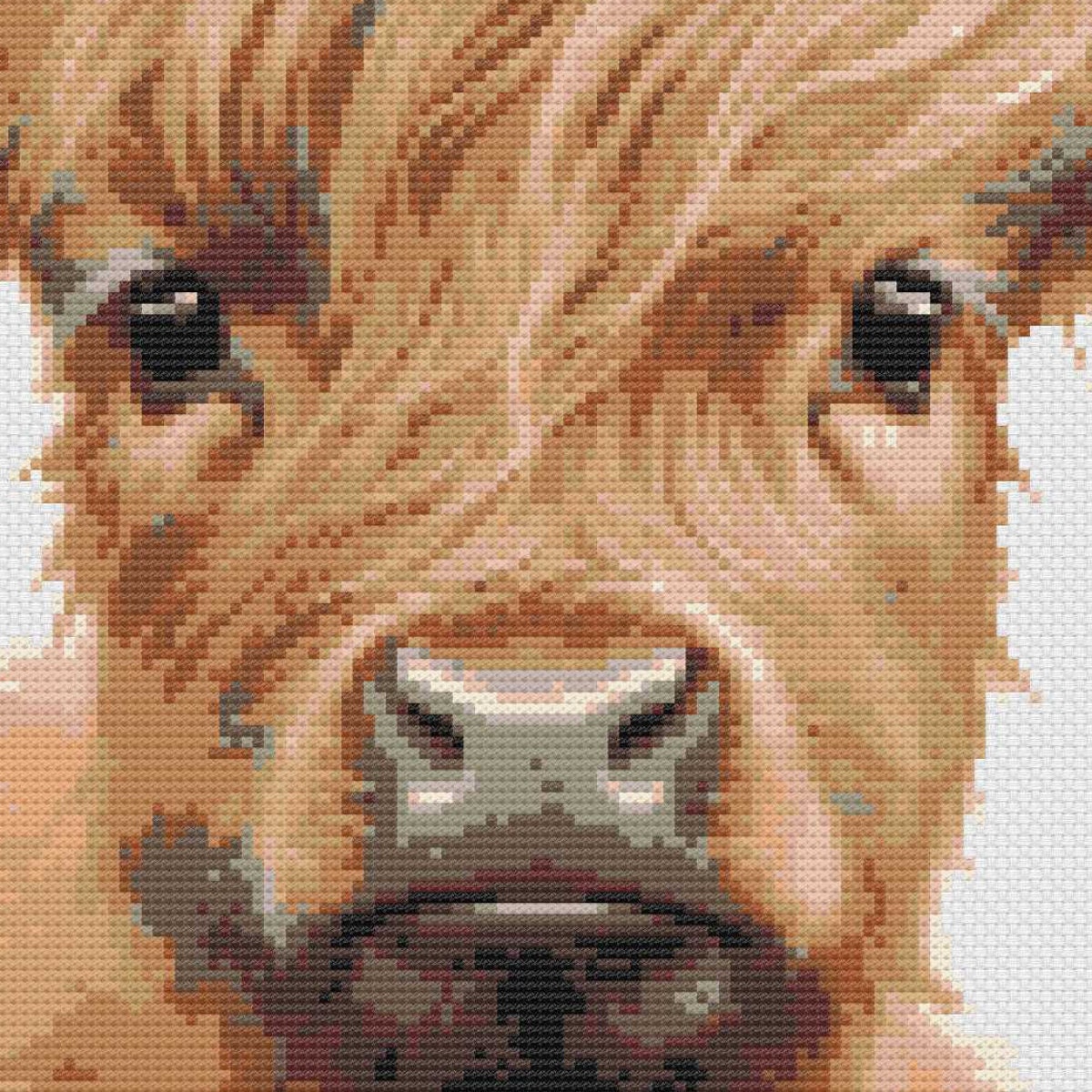 Highland Cow Cross Stitch Pattern / Scottish Calf Digital PDF Cross ...