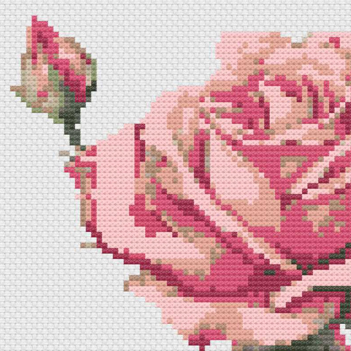 June Birth Month Flower Counted Cross Stitch Pattern, Rose Cross Stitch ...