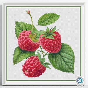 Raspberries Cross Stitch Pattern Realistic Raspberry Fruit Botanical Embroidery Nature-inspired ...