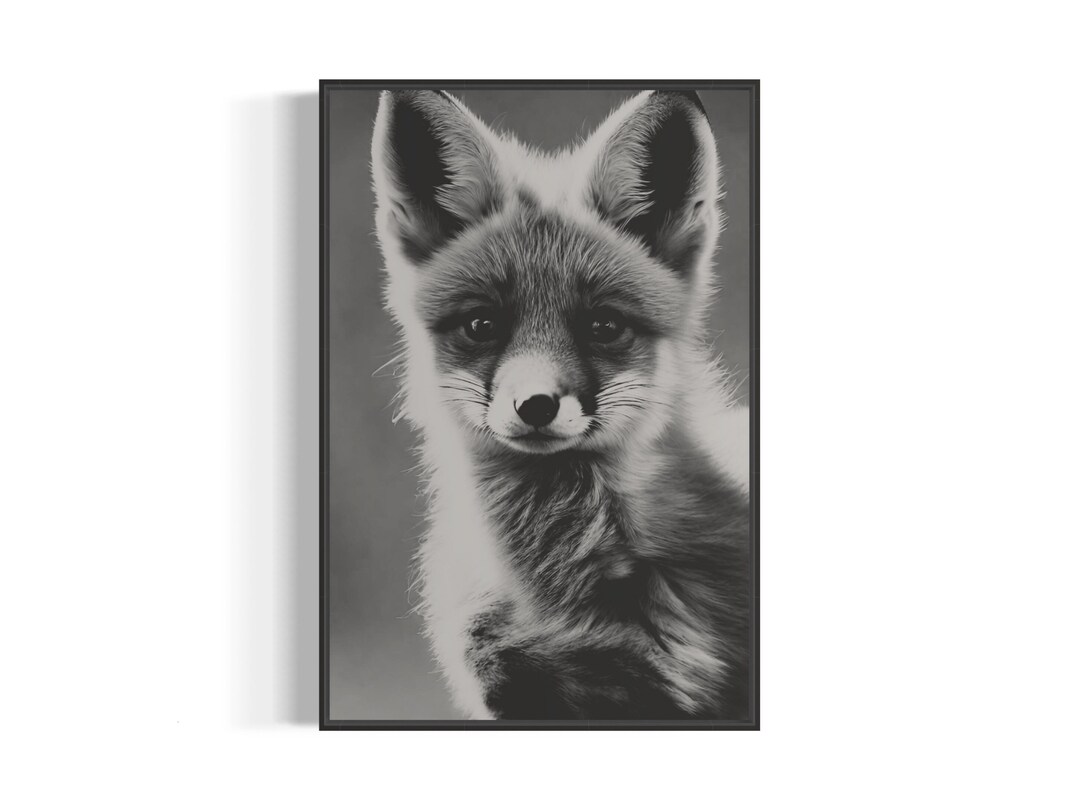 Baby Fox Portrait Art Print | Printable Black and White Wall Art ...