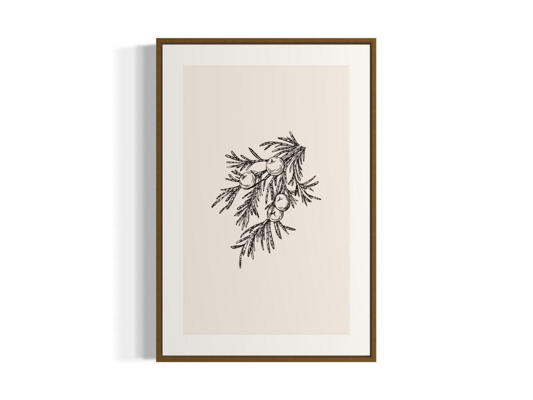 Botanical Juniper Sketch Art Print | Printable Wall Art | Digital ...