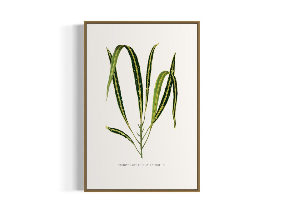 Vintage Botanical Garden Croton Art Print | Printable Wall Art ...